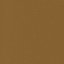 Neo Fabrics and Supply Co. – Neo Fabrics and Supply Co.